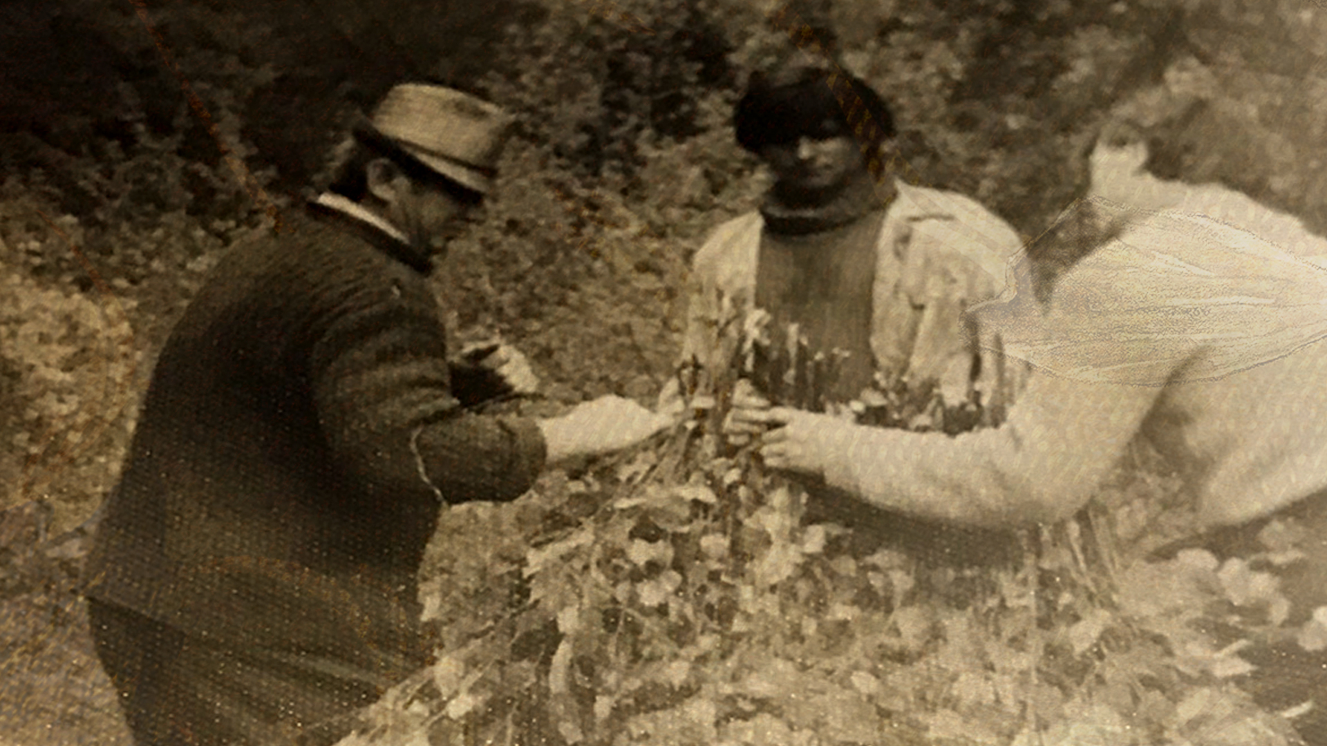 The oldest băbălud - Antropoflora